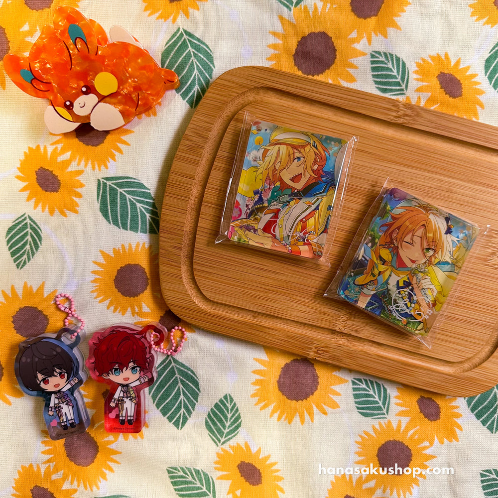 [Indv] Ensemble Stars!! CoLotta Vol.05 - Eichi / Aira – hanasakushop